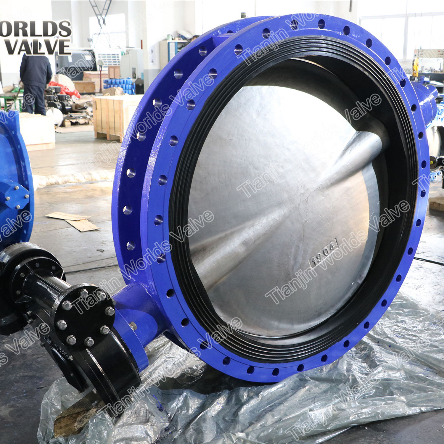 ASME B16.5 CLASS150 DOUBLE FLANGE BUTTERFLY VALVE from China ...