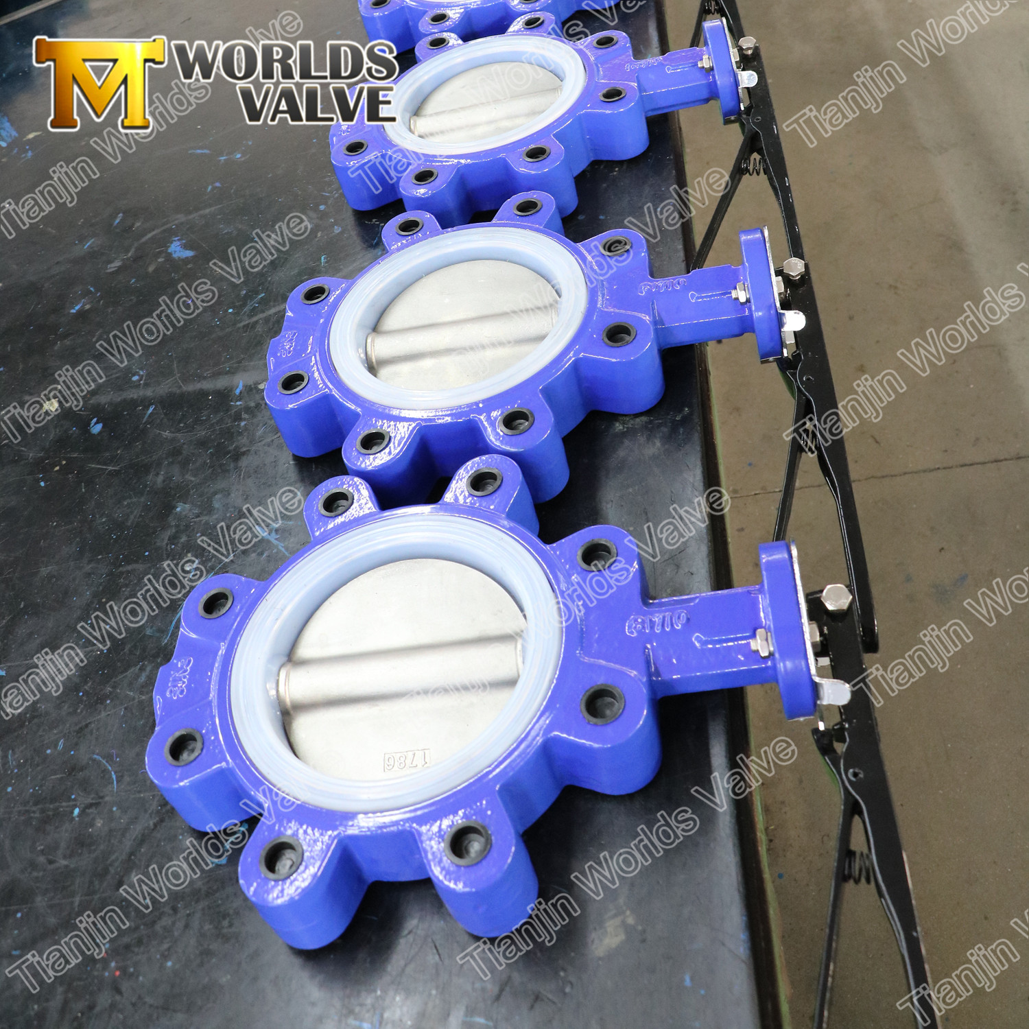 Tapped Threaded hole Lugged Butterfly valve with Lever Gear Operator ...