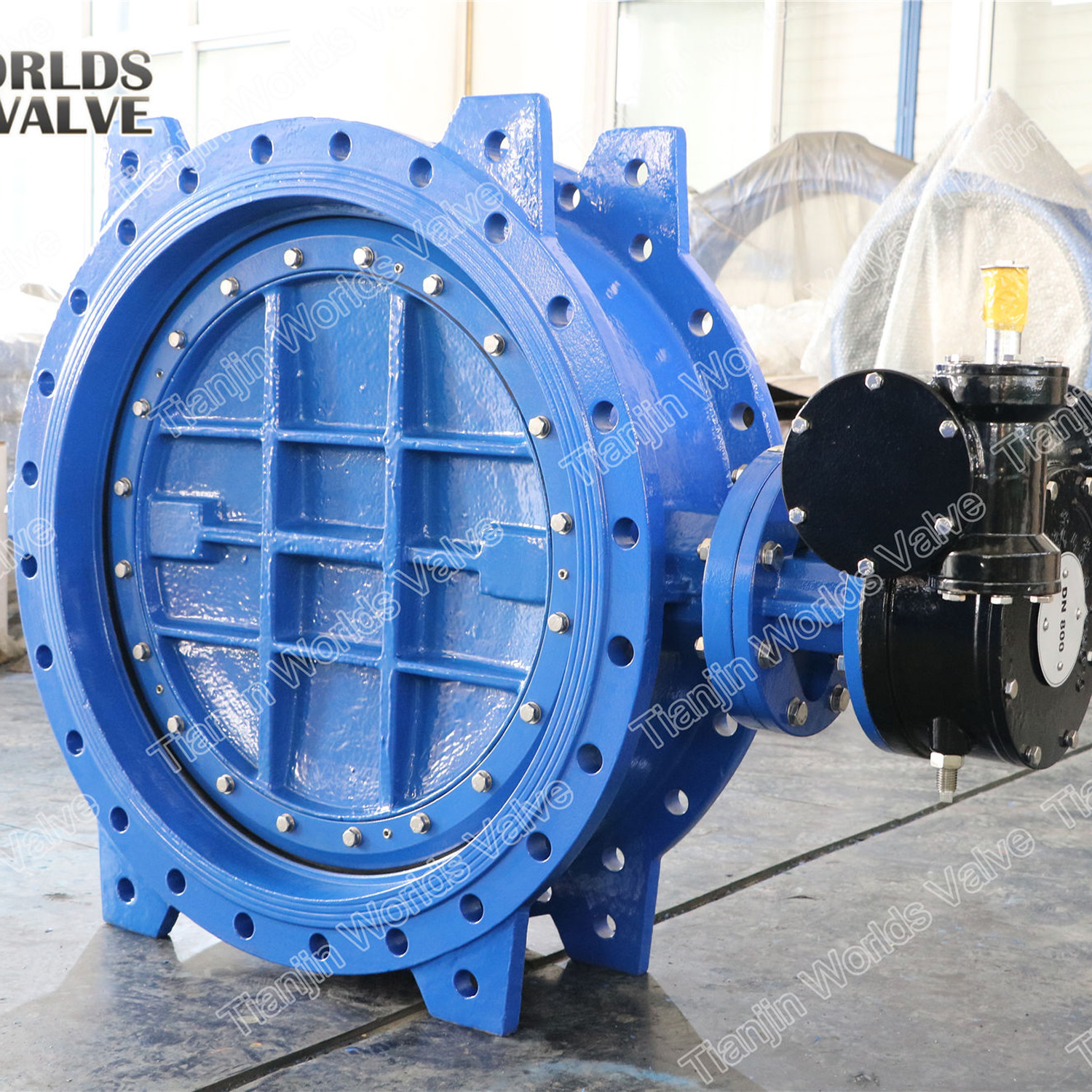 Double Eccentric Double Flanged Butterfly Valve with Rubber Seals from China manufacturer ...