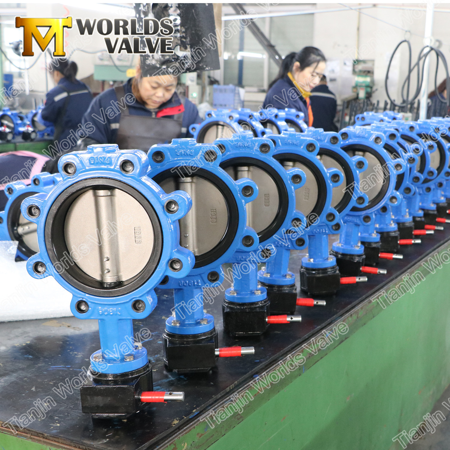 VITON/FKM/FPM Seat Rubber Liner Butterfly Valve from China manufacturer ...