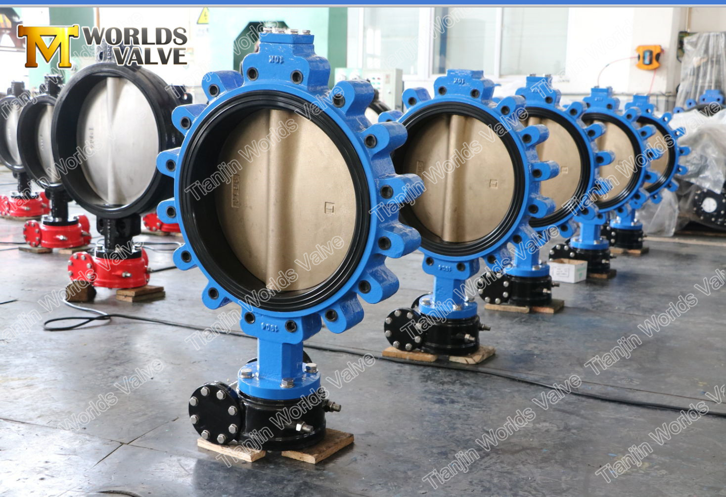 Tapped Hole Butterfly Valve with CE ISO WRAS ACS from China ...