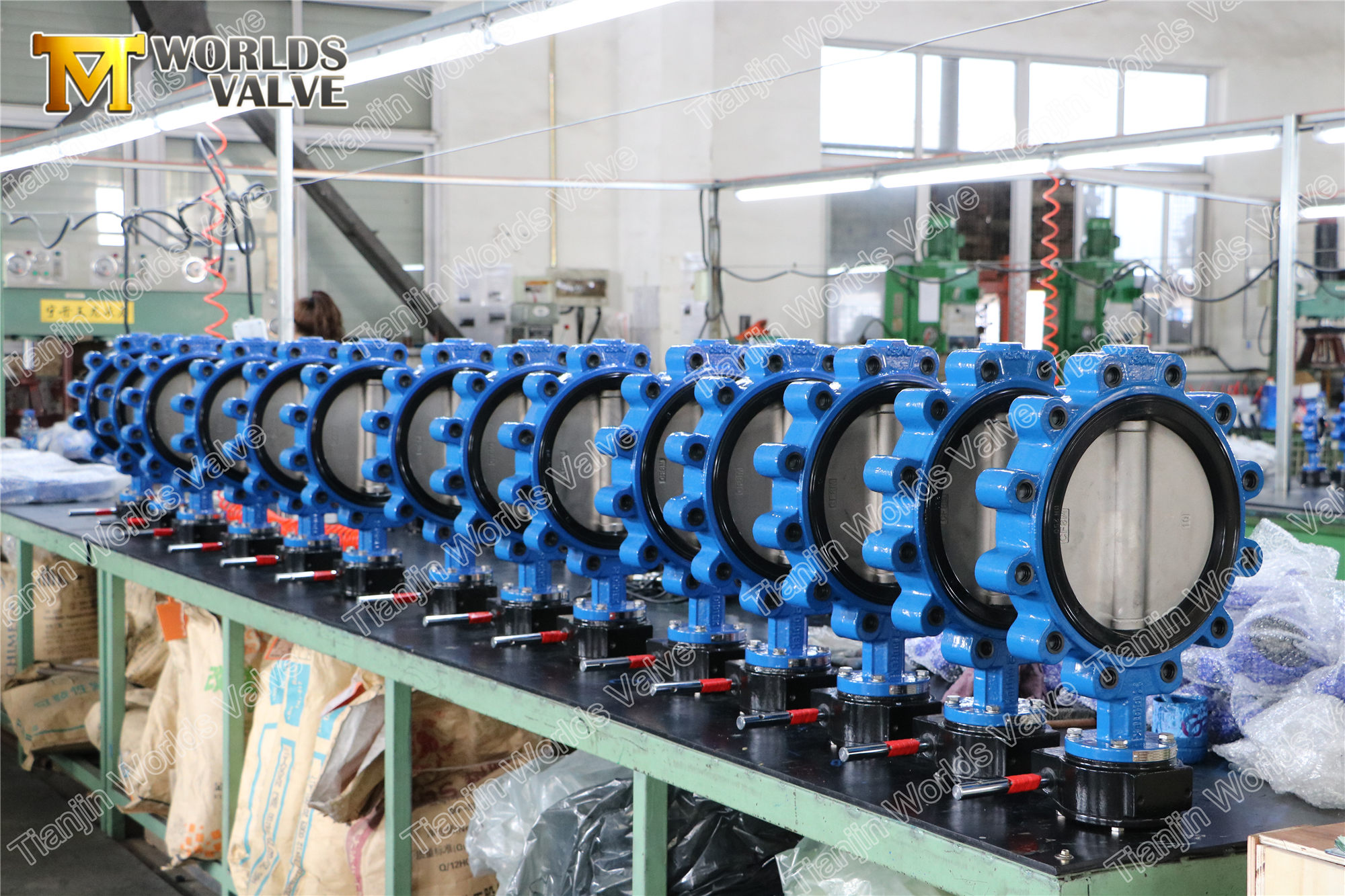 Lugged And Tapped Butterfly Valve with Drilled Holes from China ...