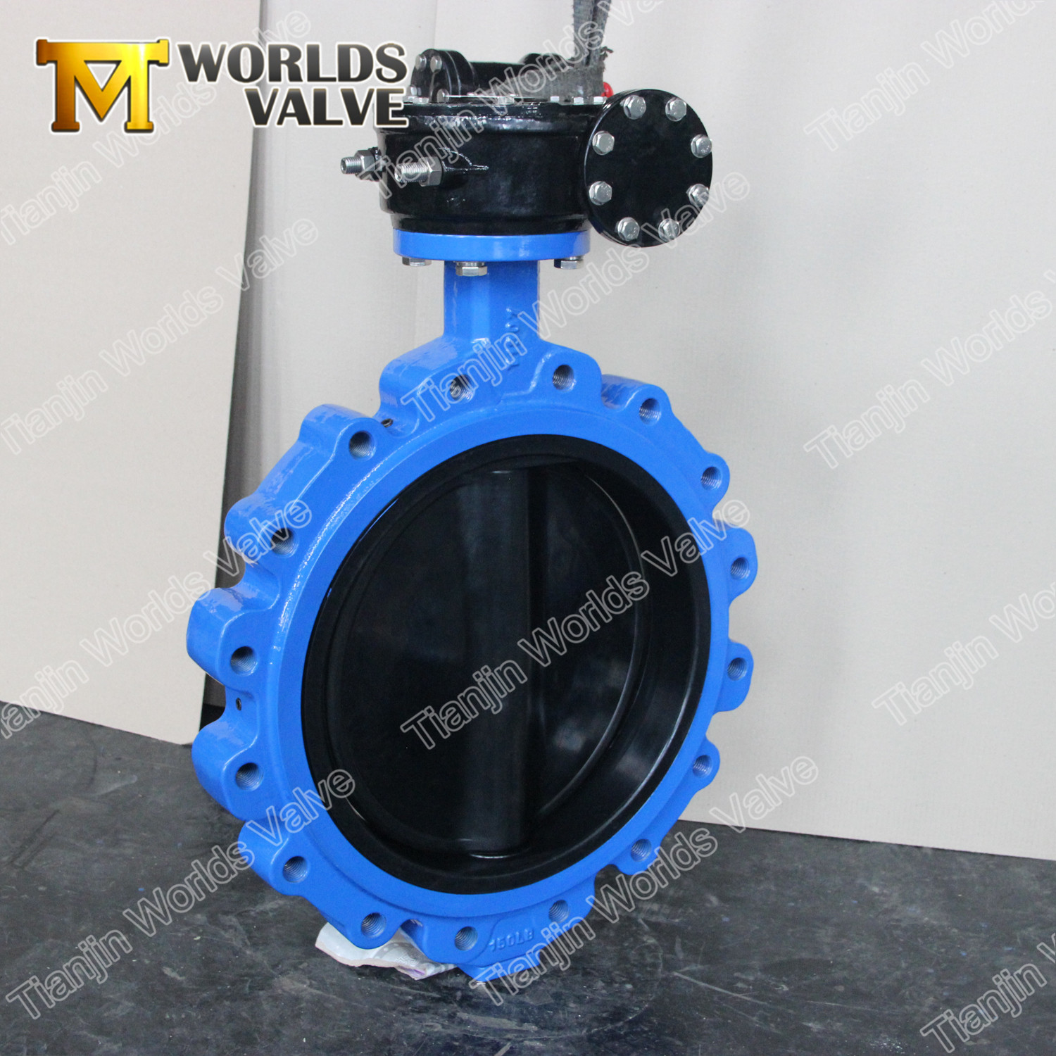 Lugged And Tapped Type Butterfly Valve with Full Rubber Lined from ...