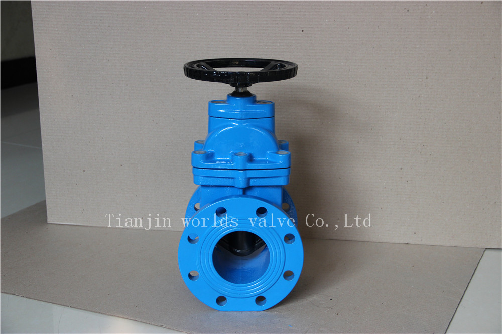 Resilient Rubber Gate Valve with Hand Wheel from China manufacturer ...