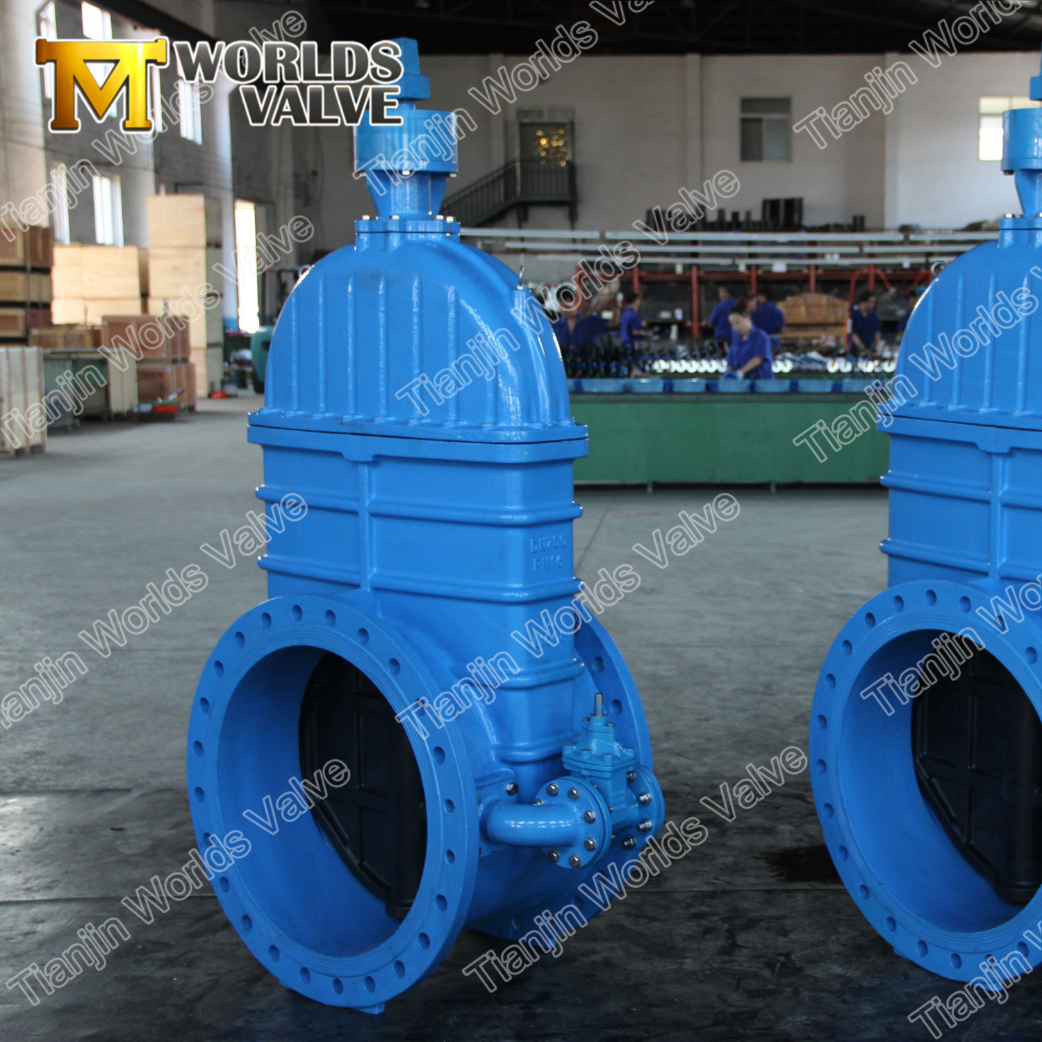 Ggg40/50 Ductile Cast Iron Double Flanged Gate Valve Resilient Seated ...