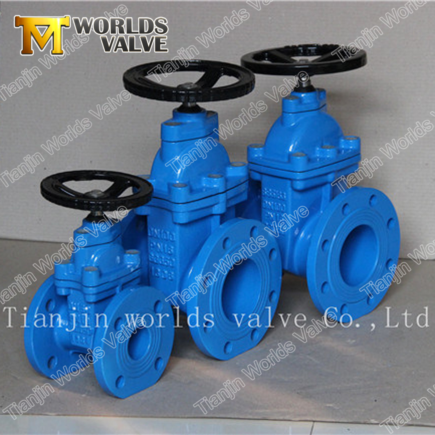 Rubber Wedge Gate Sluice Valve with ACS Approved from China ...